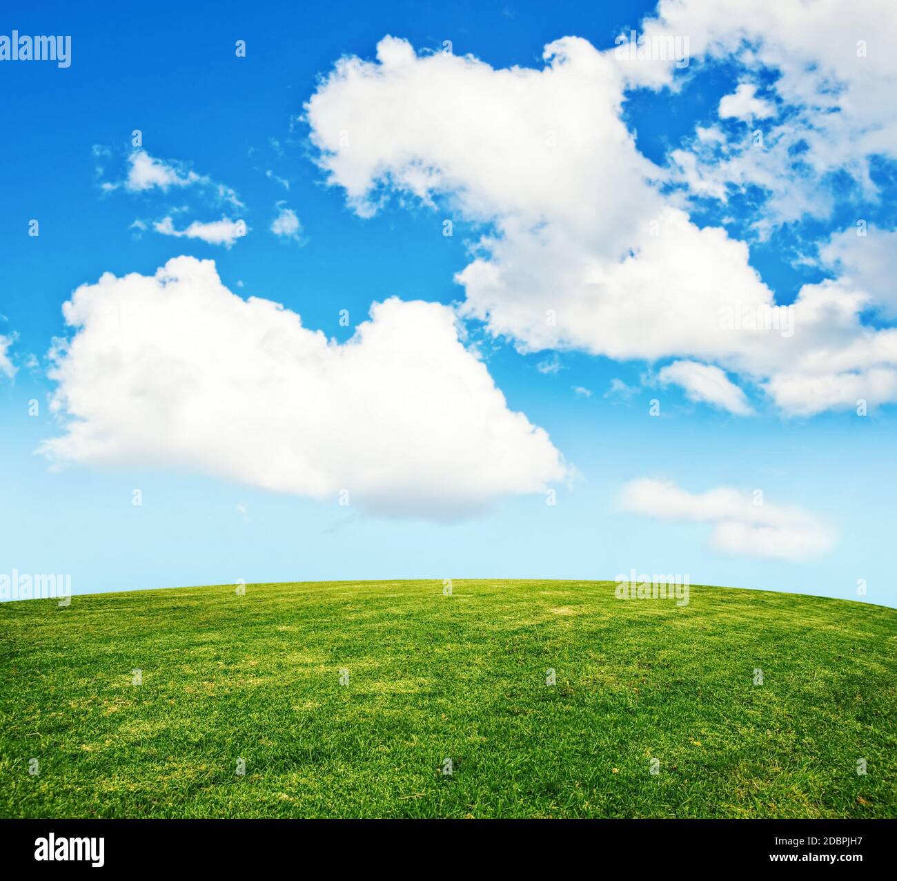 summer grass lawn with sky Stock Photo - Alamy