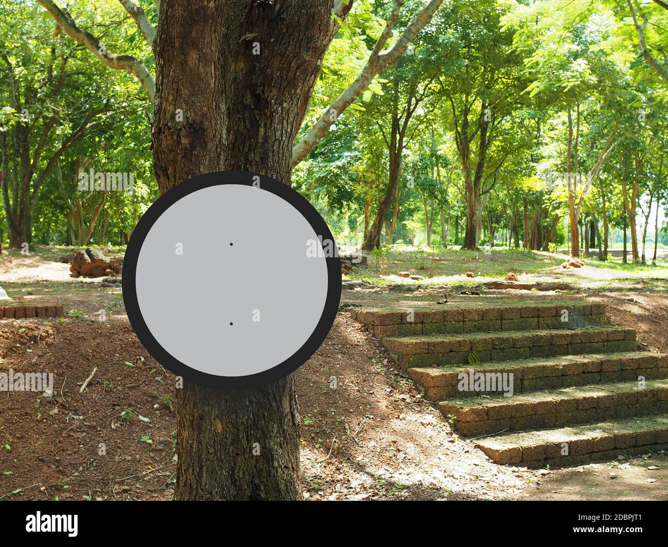 A Blank circle sign on a tree in the Sathana Gardens Stock Photo - Alamy
