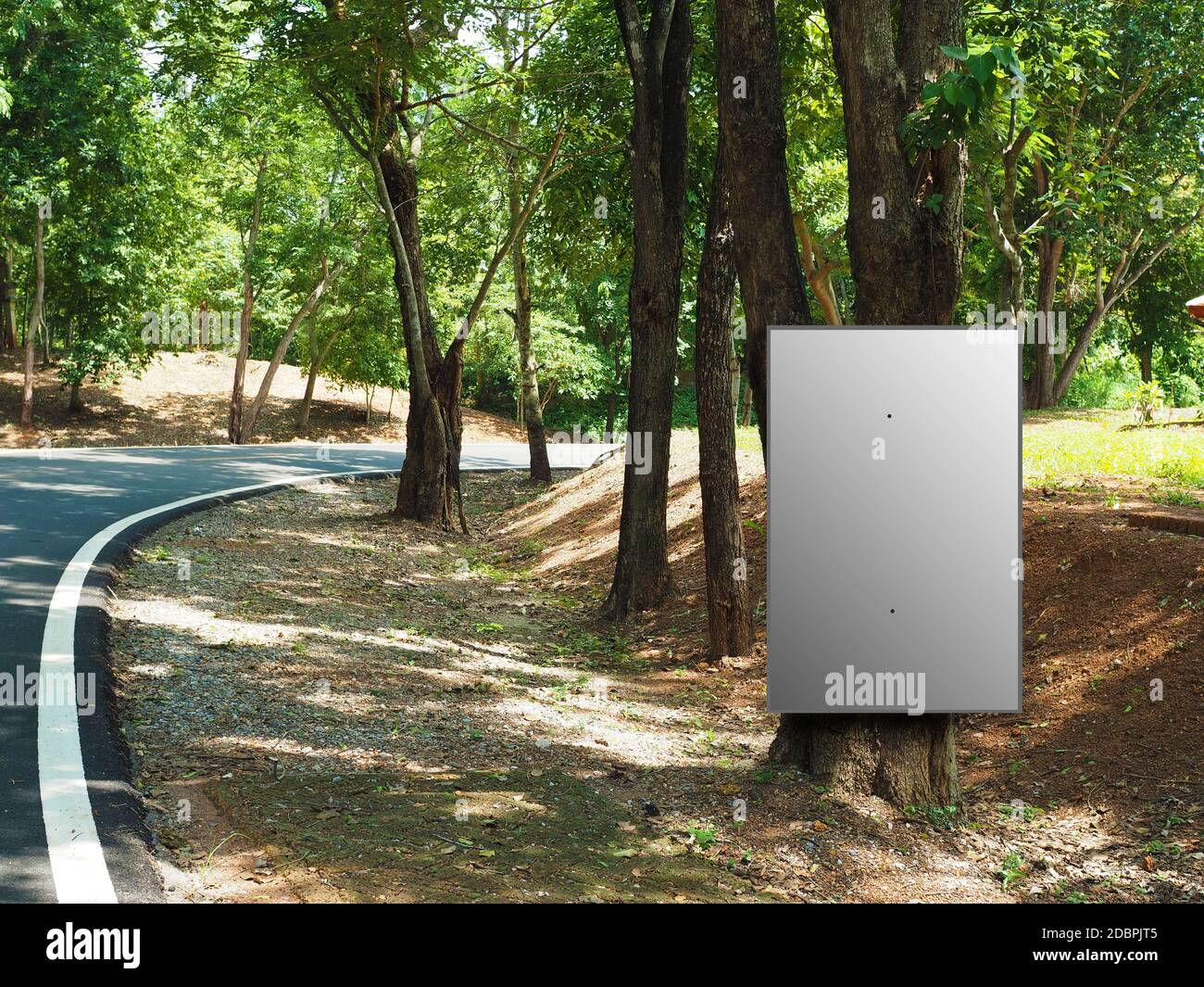 A Blank sign attached to a tree in the park. Media concept Stock Photo ...