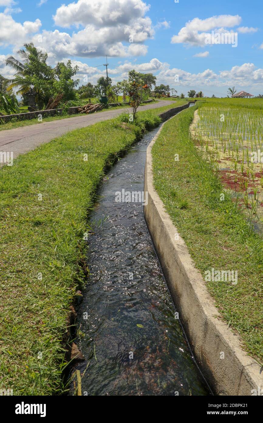 Irrigation canal called subak, a traditional way of bringing water to ...
