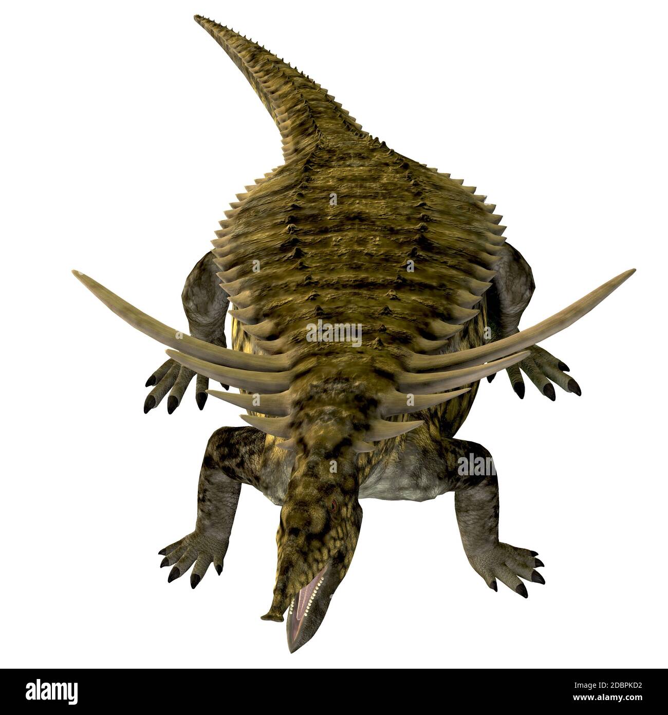 Desmatosuchus was a herbivore with an armored body that lived in the ...