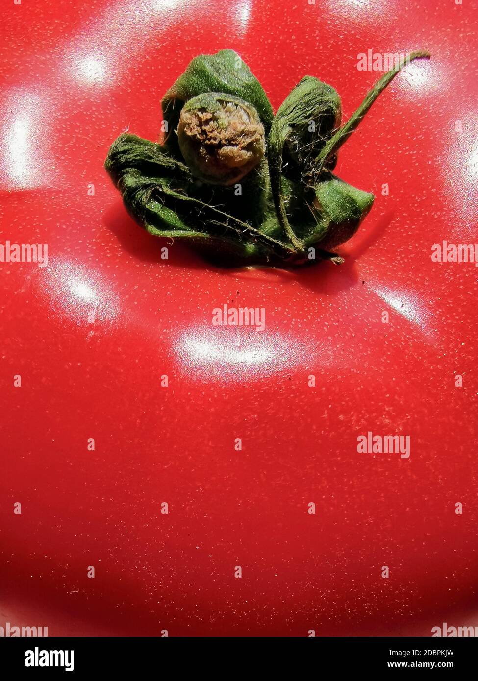 Tomato Close-up view. simgle fresh ripe red tomato top view background ...