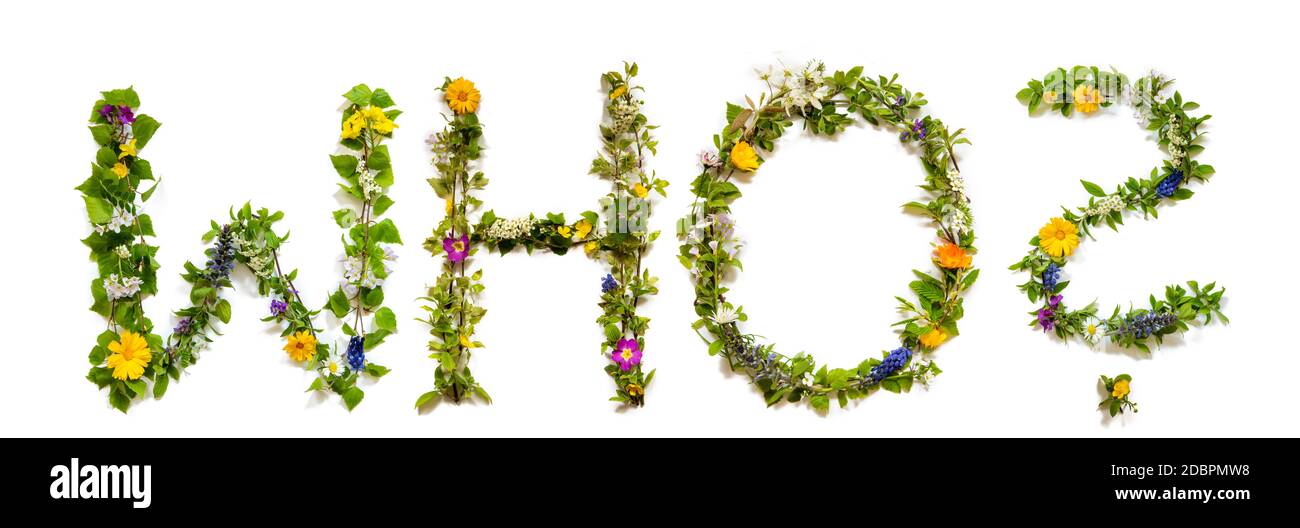 Flower, Branches And Blossom Letter Building English Word Who. White ...