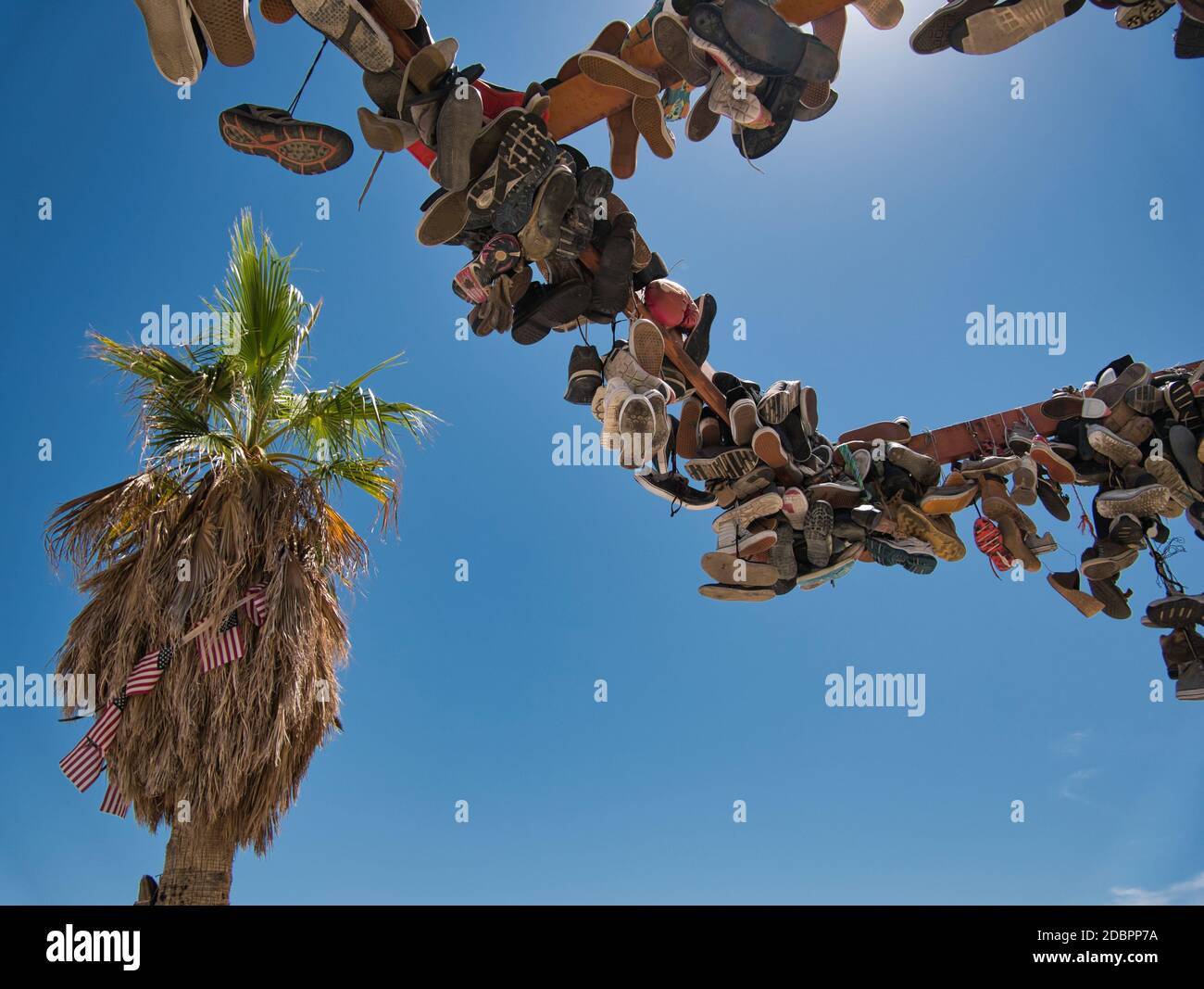 A palm tree and hanging shoes on a steel construction Stock Photo - Alamy