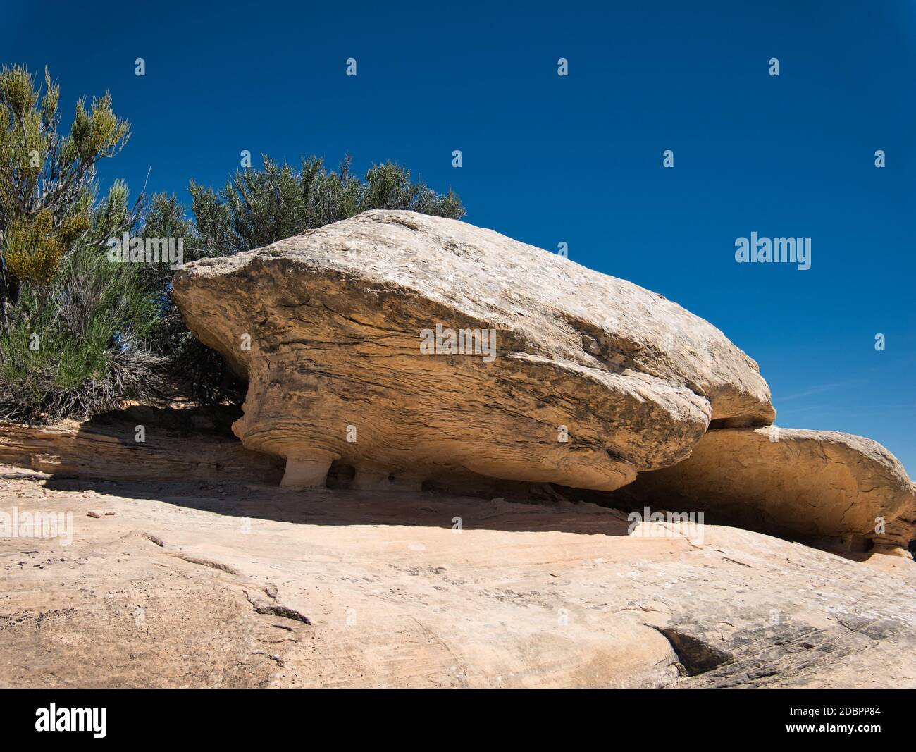 Small bushes and a large boulder on natural stone pillars Stock Photo ...