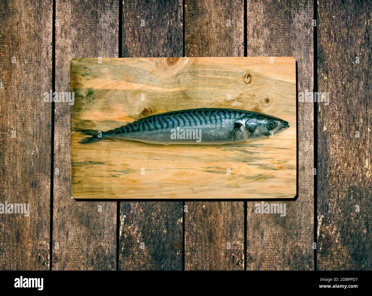 Mackerel fish on the table Stock Photo - Alamy