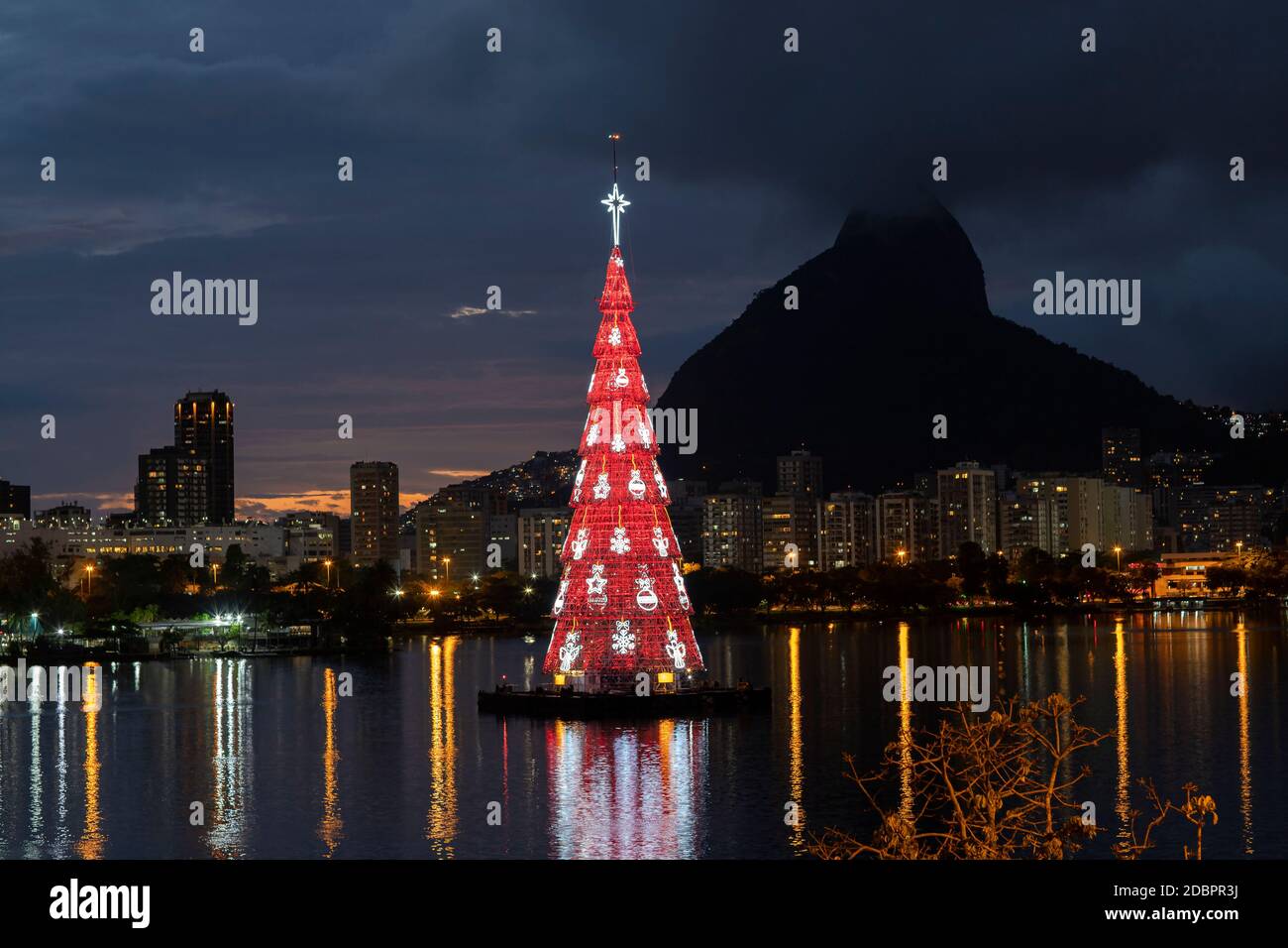 Floating tree in rio de janeiro hi-res stock photography and images - Alamy
