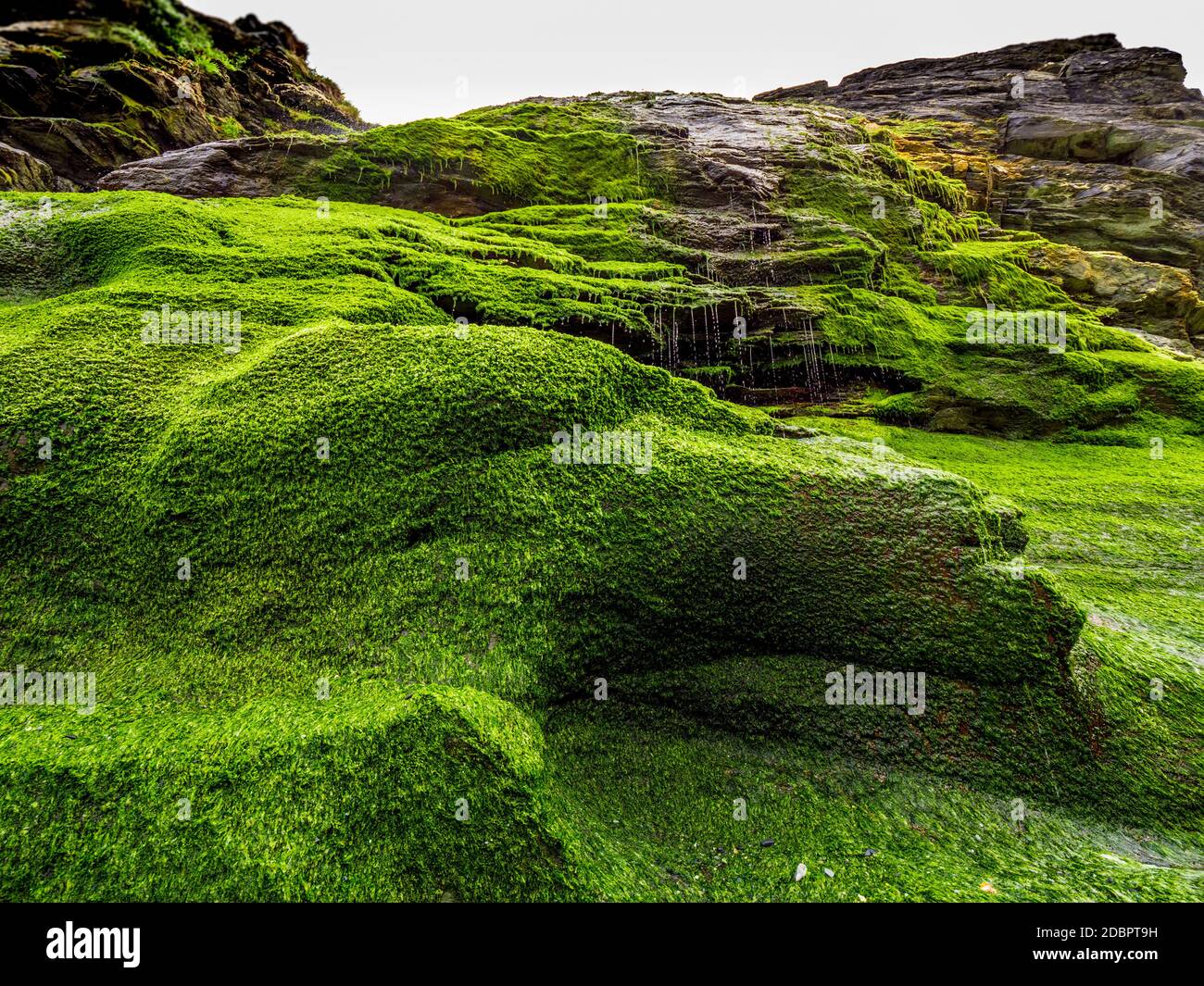 Beautiful waterfall over mossy stones in the Cove of Tintagel in ...