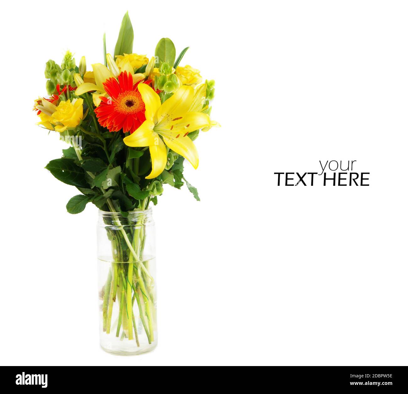 Flower with the copy space Stock Photo - Alamy