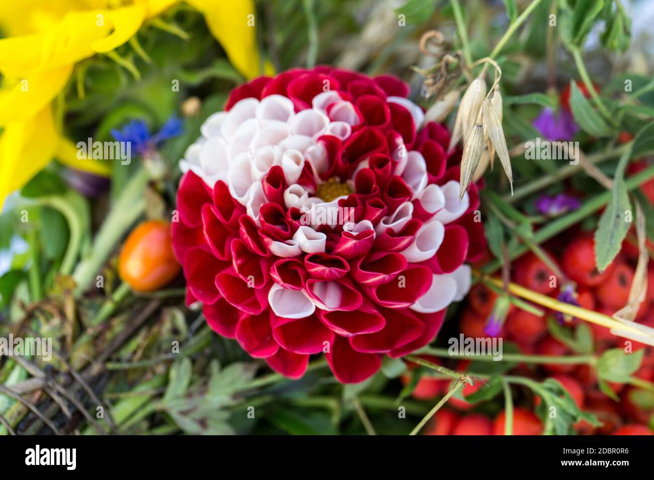 handmade beautiful bouquets from flowers and herbs Stock Photo - Alamy