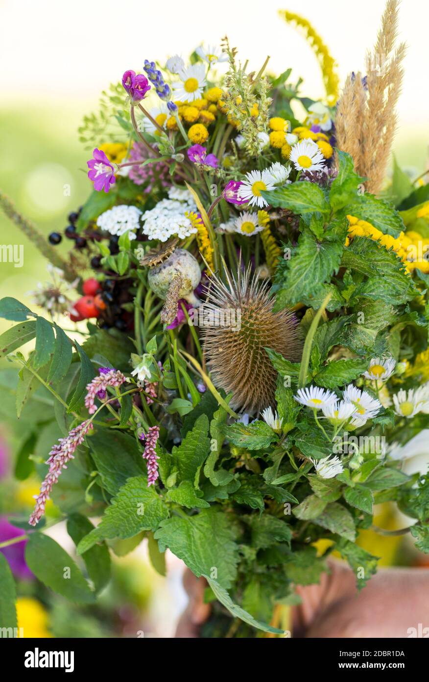 handmade beautiful bouquets from flowers and herbs Stock Photo - Alamy