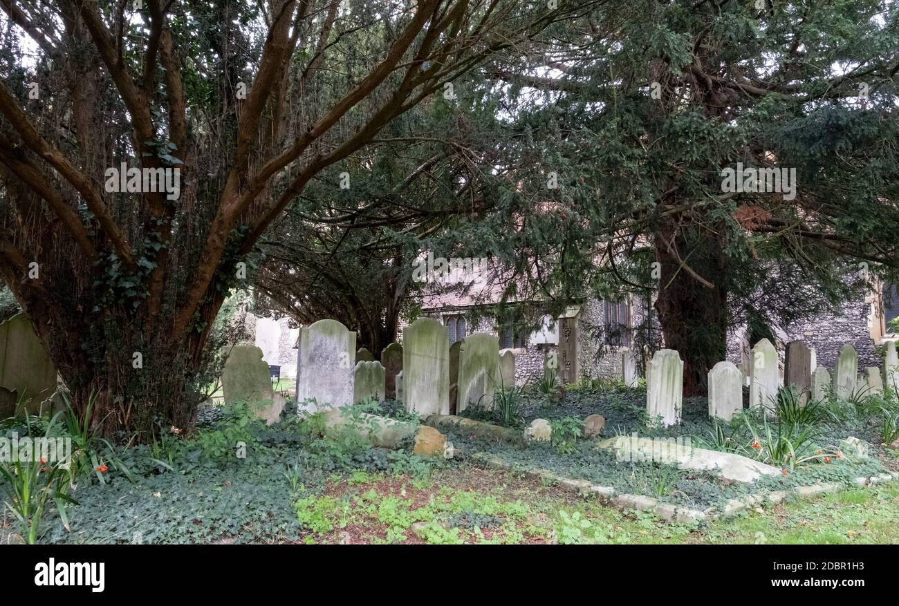 Old english for slough hi-res stock photography and images - Alamy