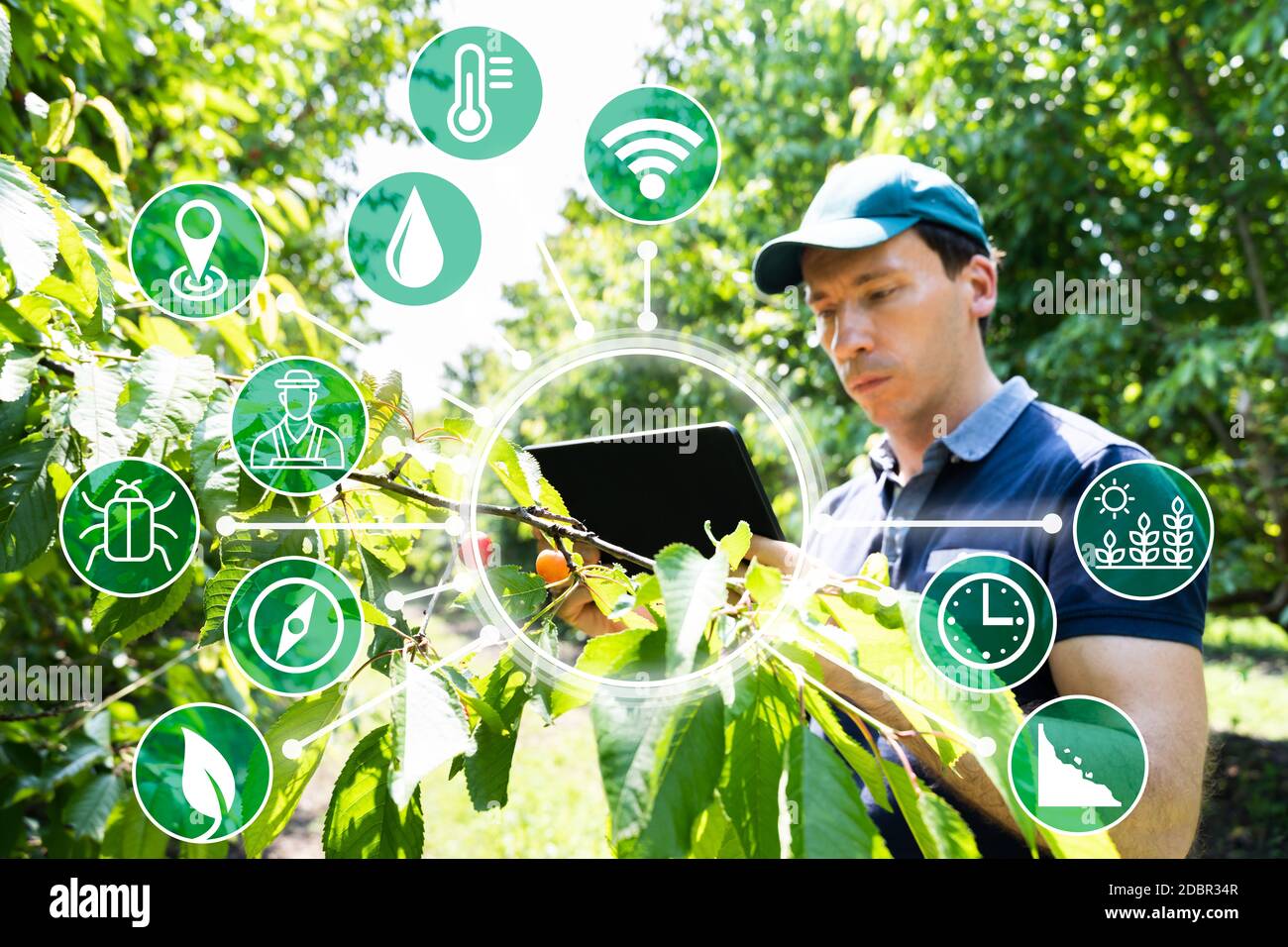 Smart Farming Digital Technology Agriculture App At Farm Stock Photo ...