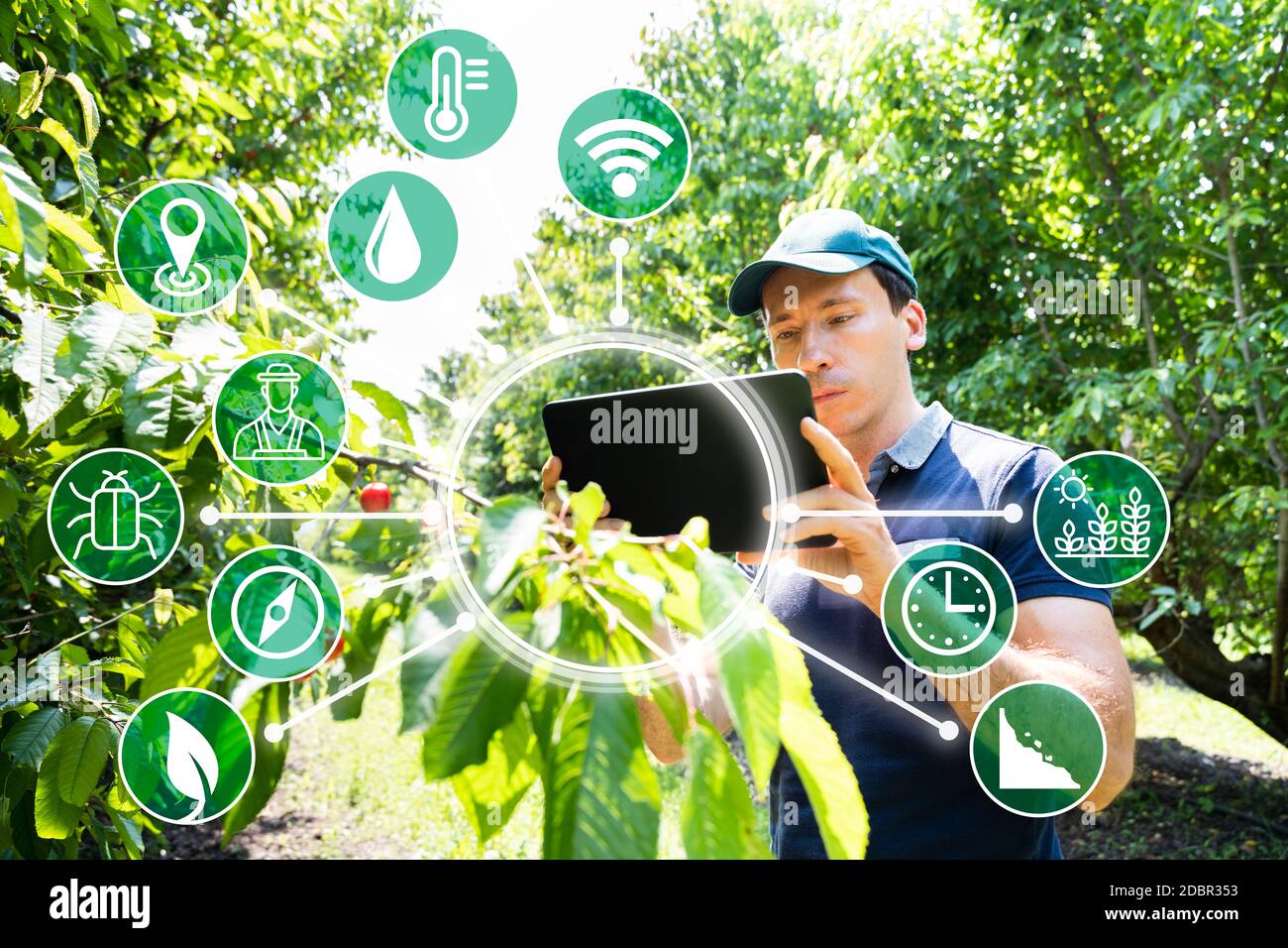 Smart Farming Digital Technology Agriculture App At Farm Stock Photo ...
