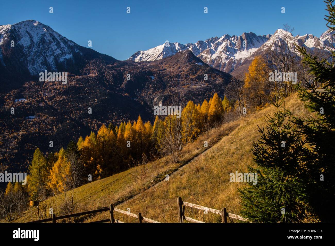 autumn landscape in the Italian Alps Stock Photo - Alamy