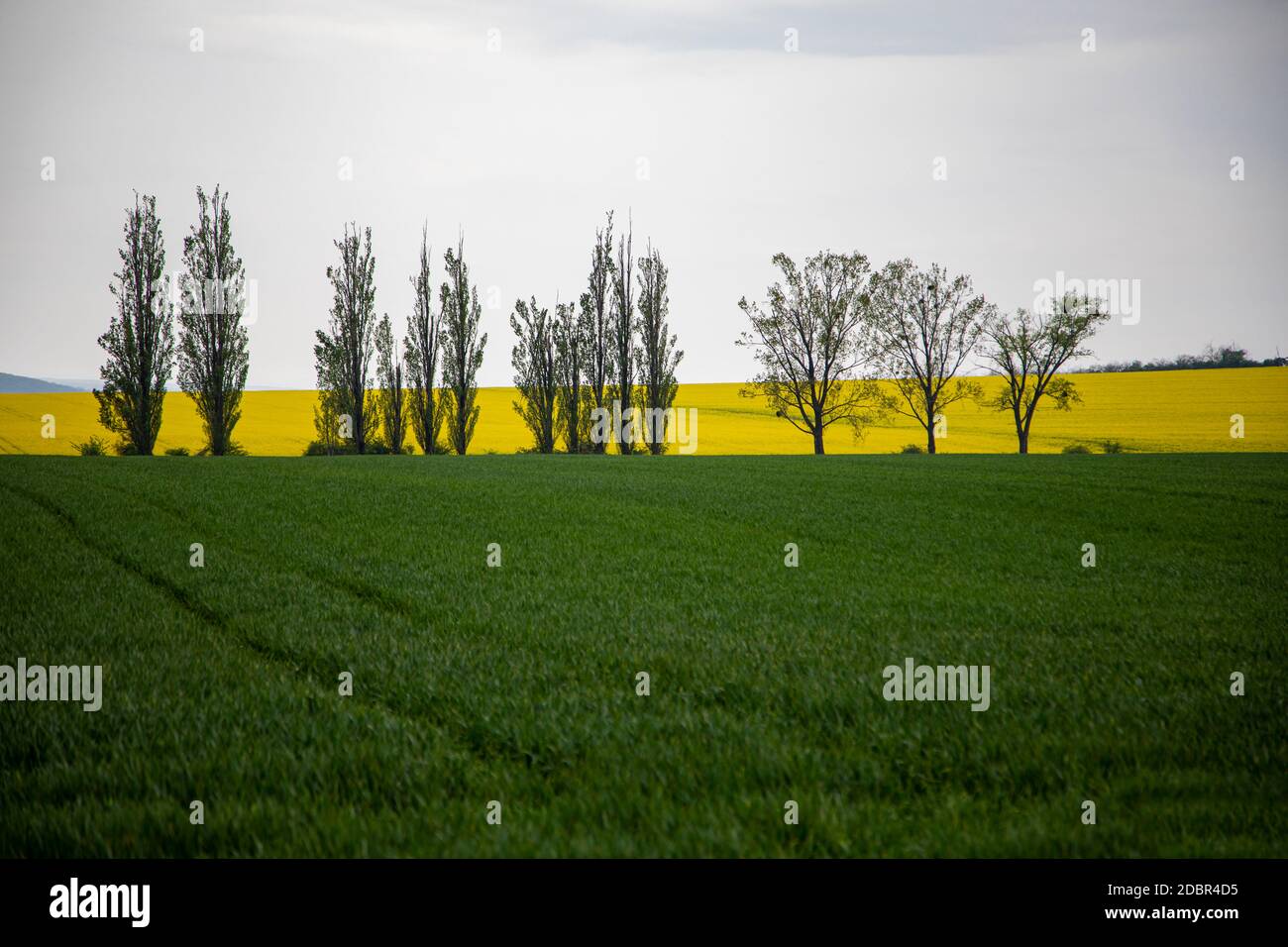 In the Country Stock Photo - Alamy
