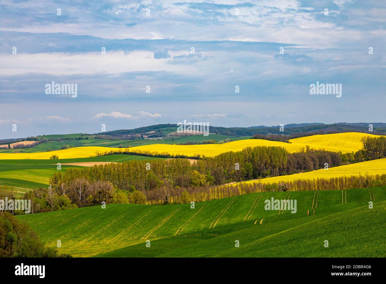 In the Country Stock Photo - Alamy