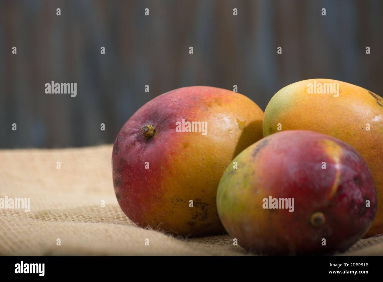 table with mango fruits. dark background with space for text Stock ...
