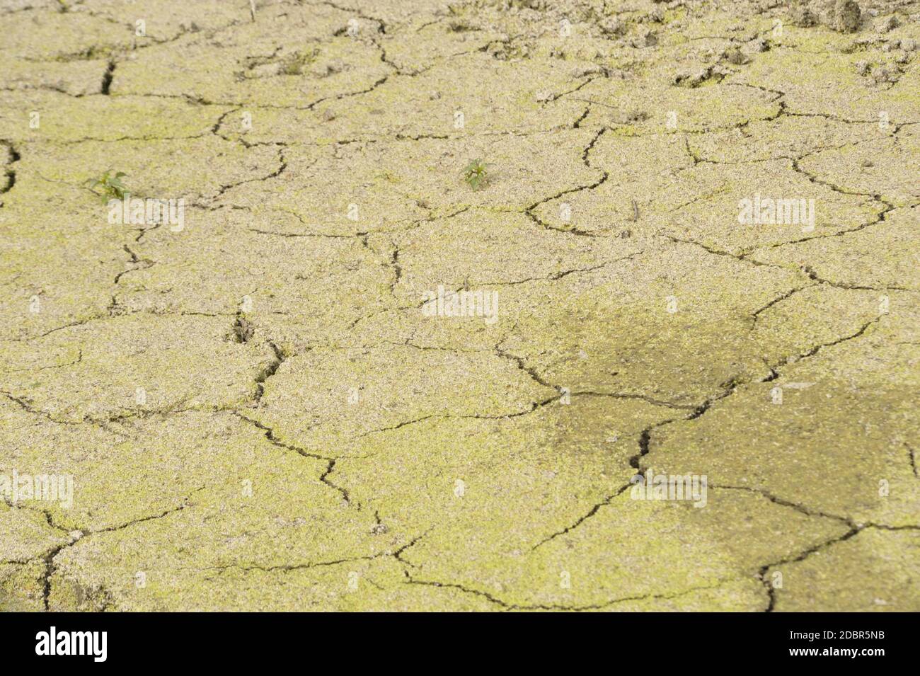 Drought situation hi-res stock photography and images - Alamy