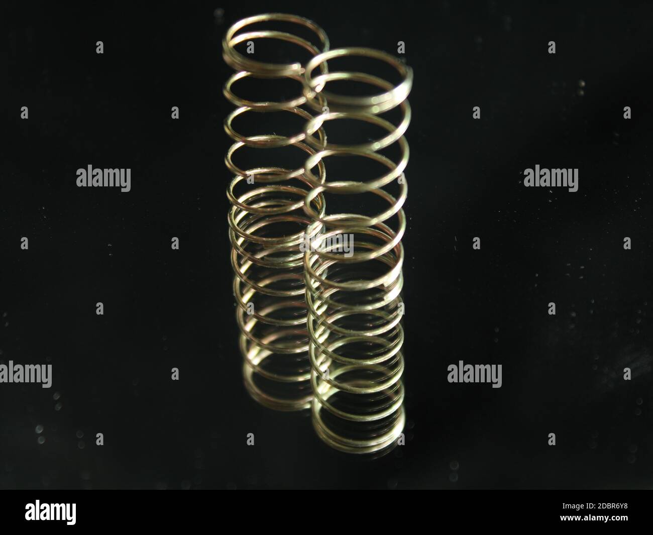 Helical growth hi-res stock photography and images - Alamy