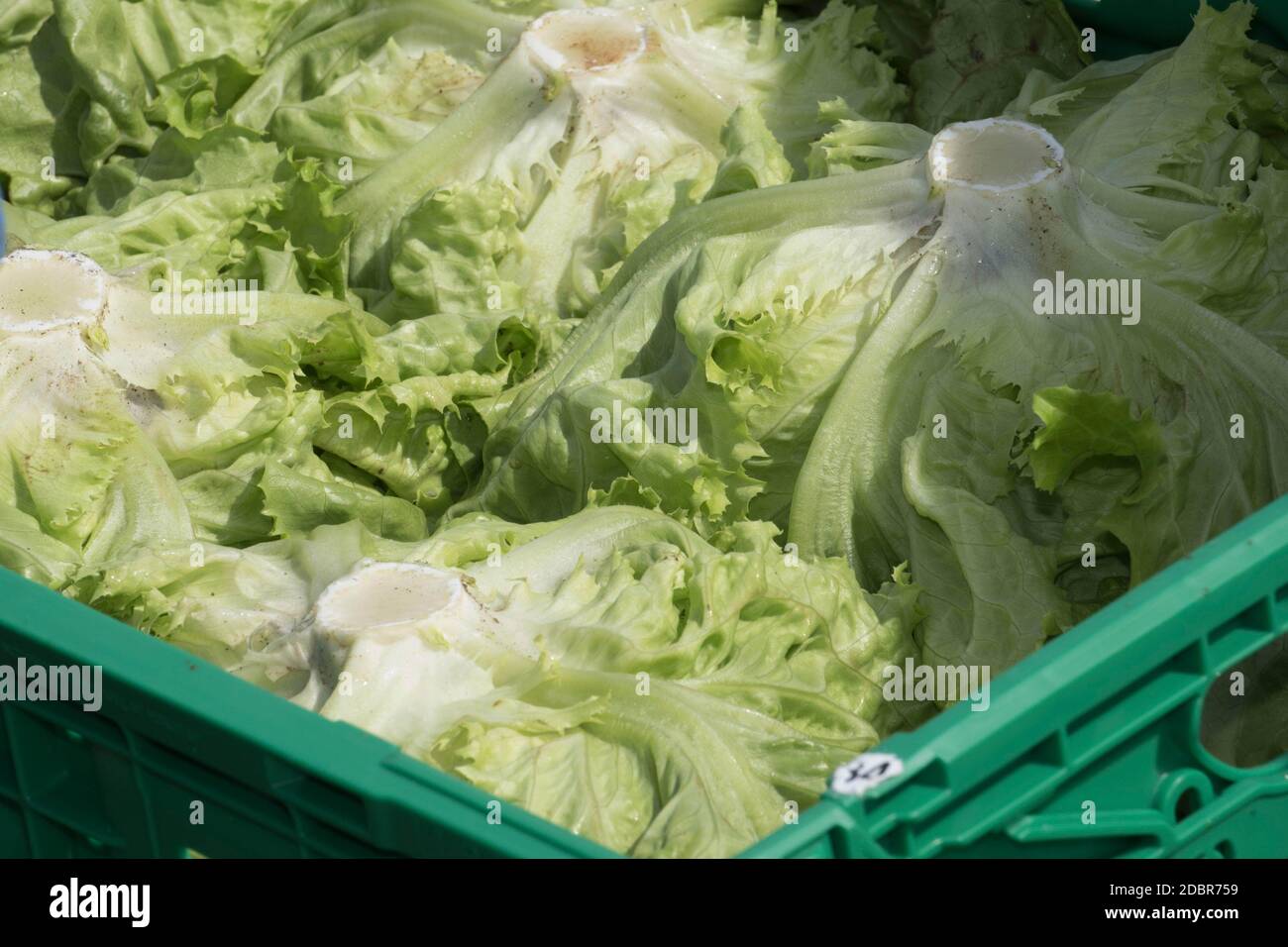 Shipping container costs hi-res stock photography and images - Alamy