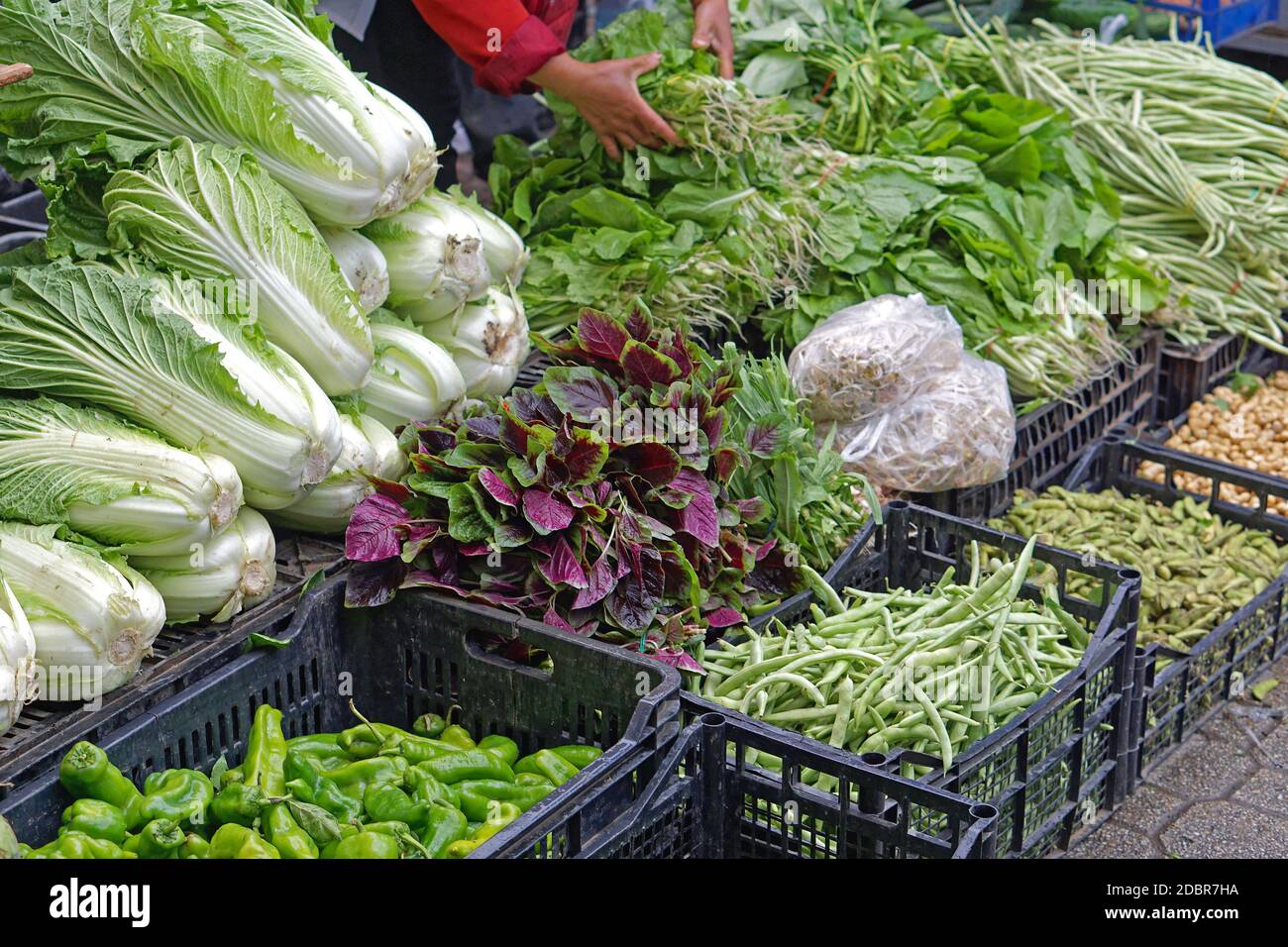 Chinese vegetables hi-res stock photography and images - Alamy