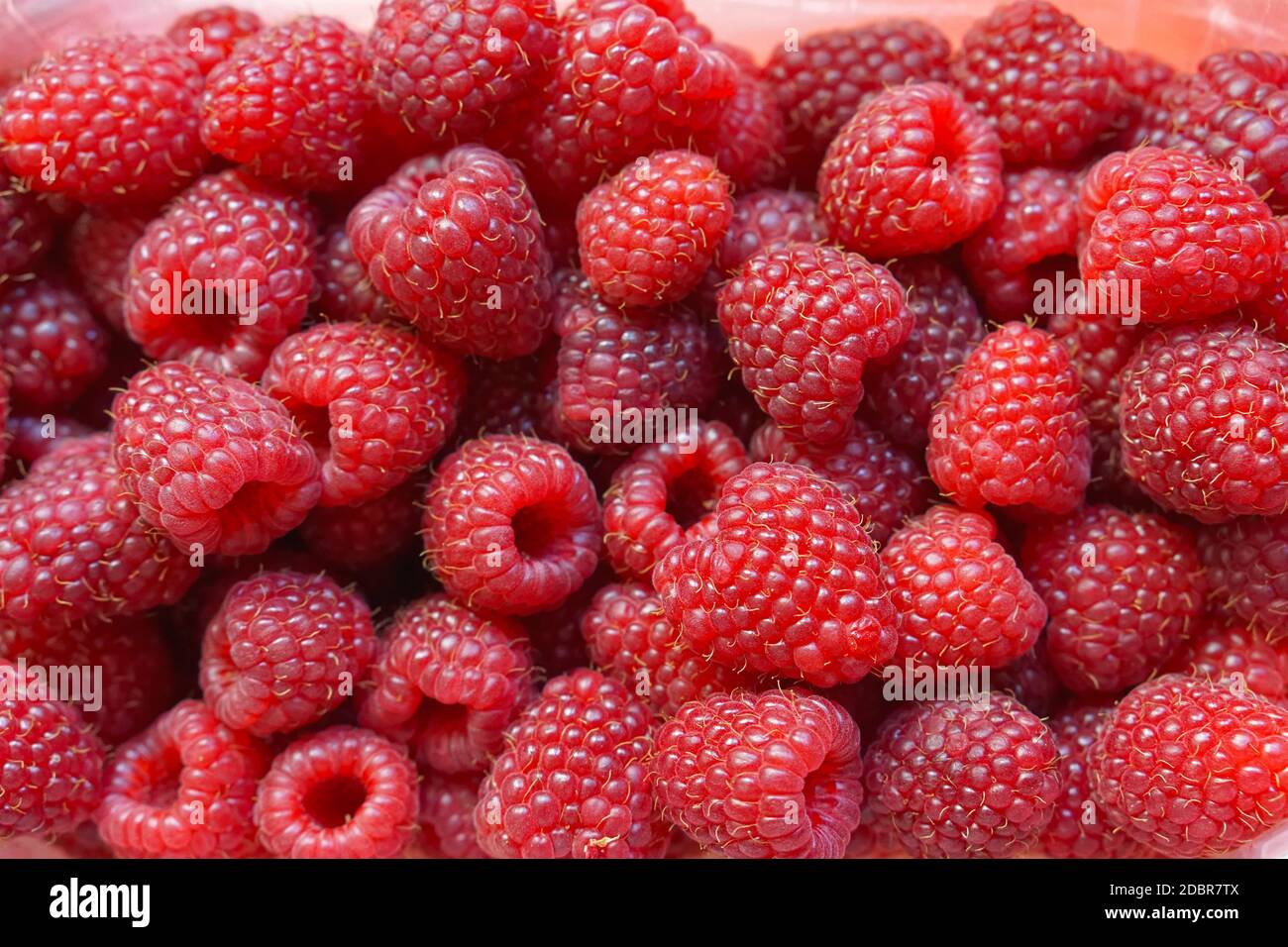 Big raspberries hi-res stock photography and images - Alamy