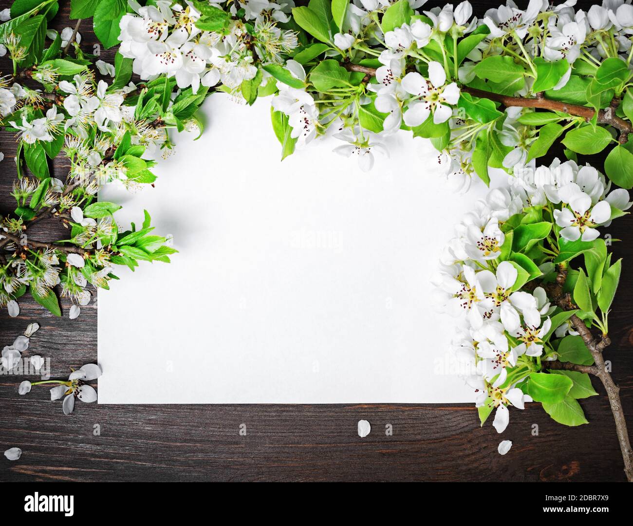 Mock up poster with spring flowers on wood table background. Flat lay ...