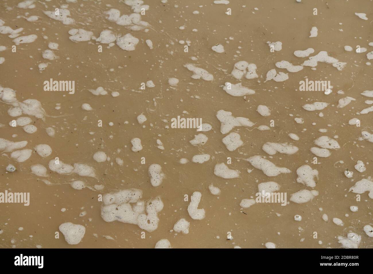 Dirty spoiled water, puddle. Environmental pollution background Stock ...