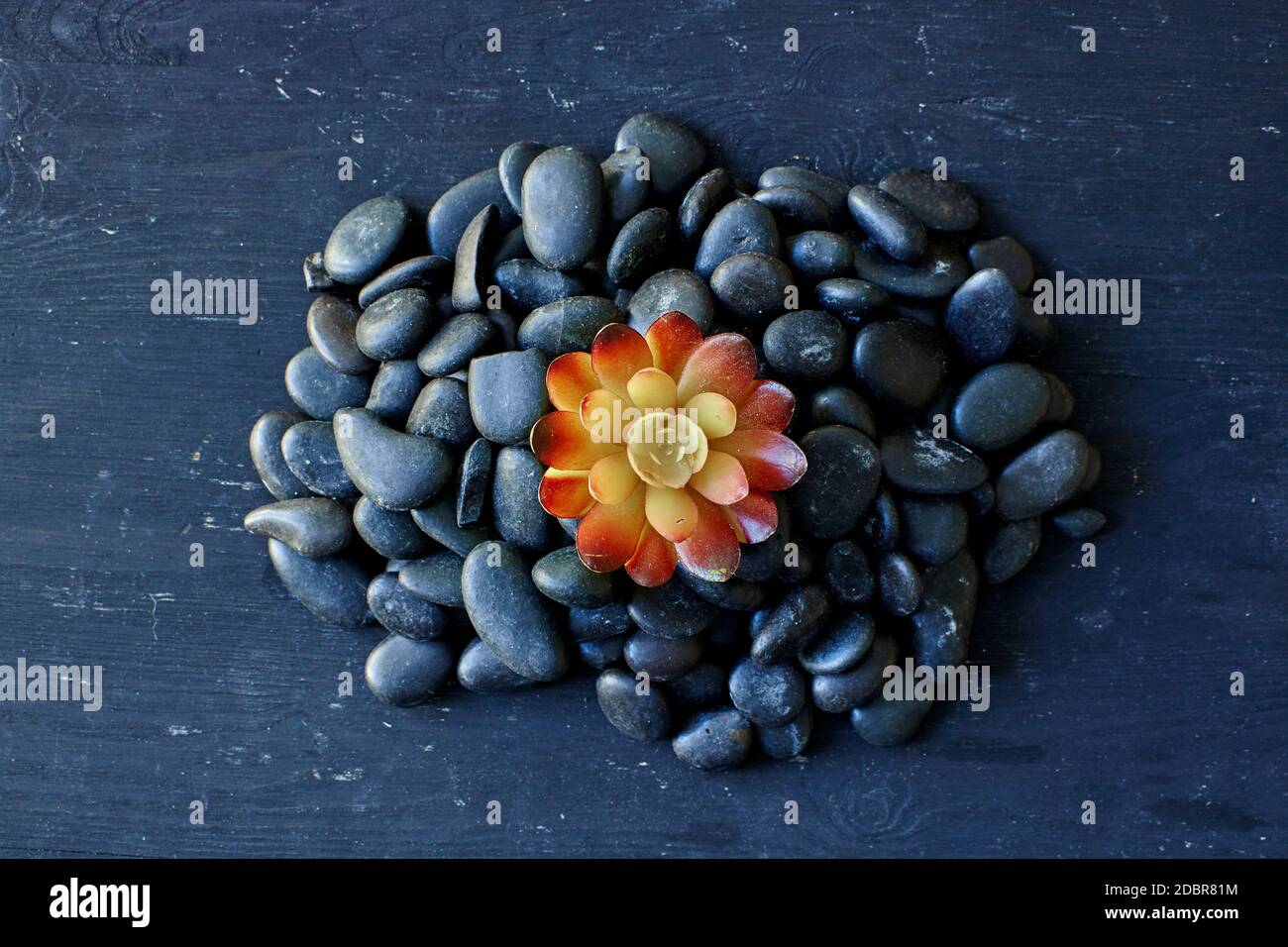 A studio photo of black river rocks Stock Photo - Alamy
