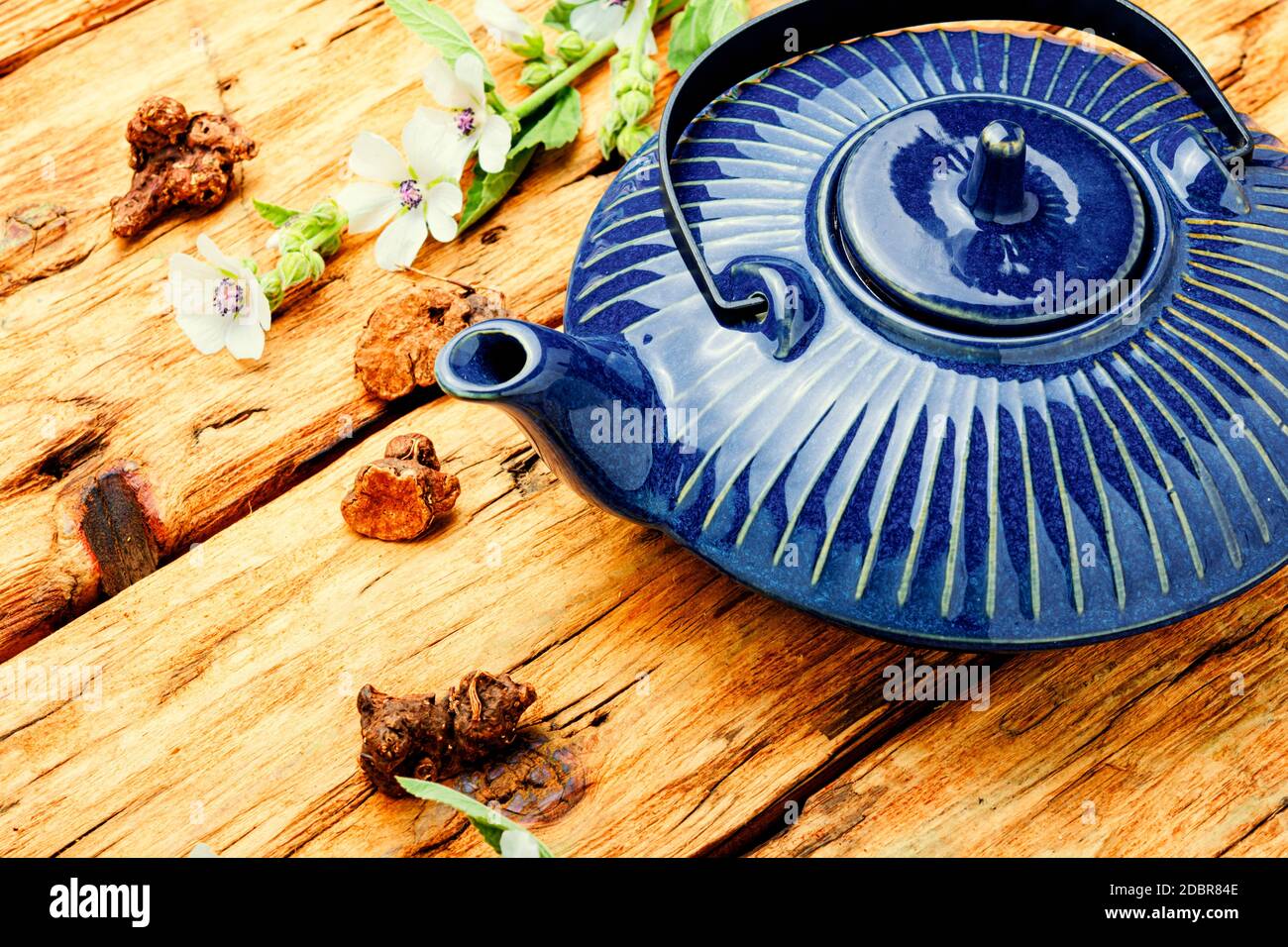 Wild medicinal herbal teas and althea root elixirs Stock Photo - Alamy