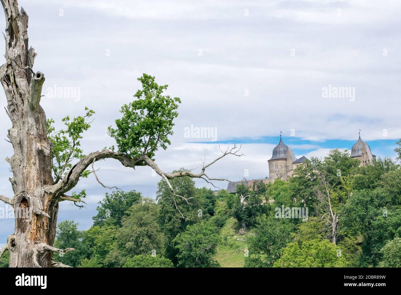 Tierpark Sababurg High Resolution Stock Photography and Images - Alamy