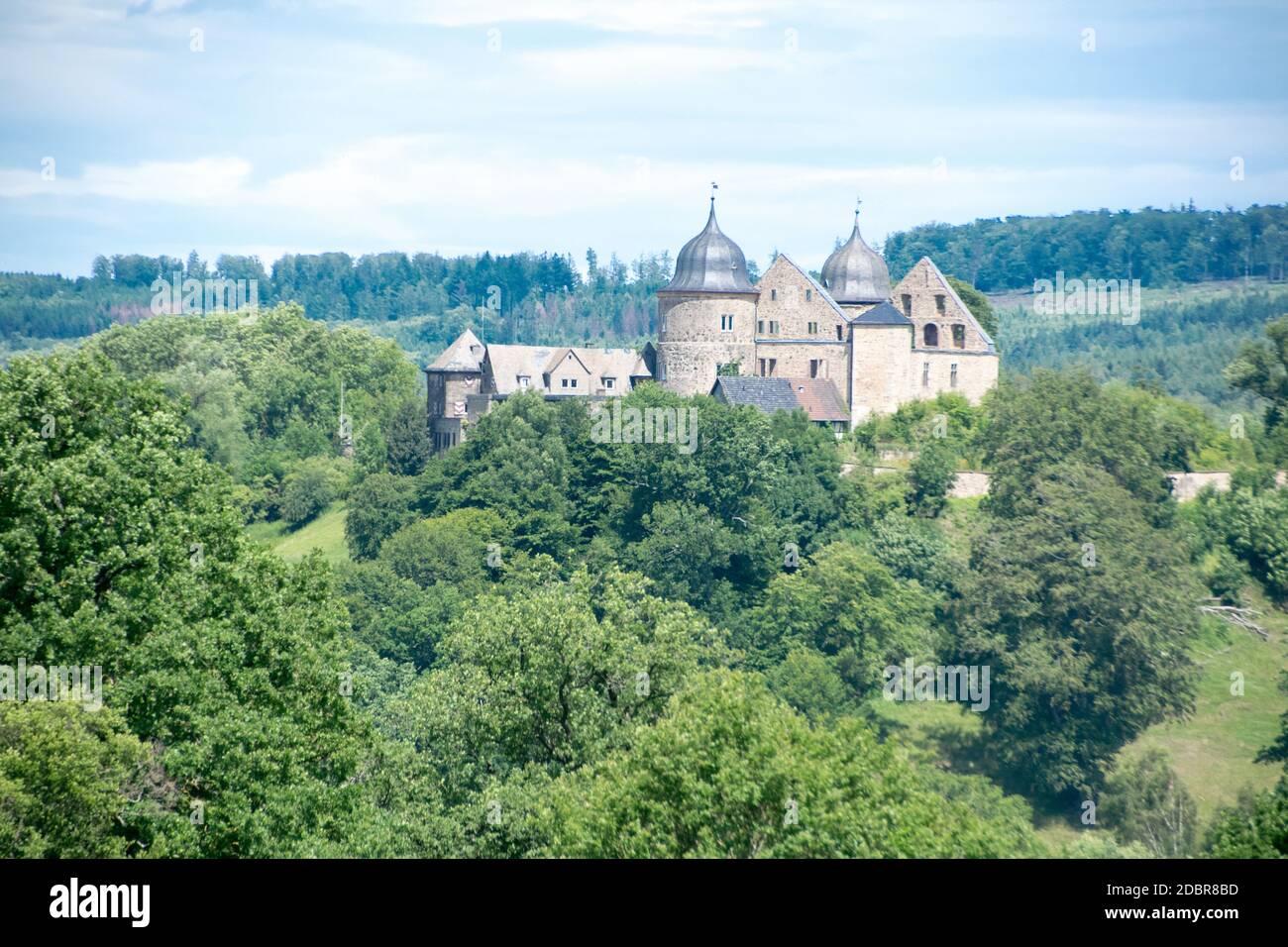 Tierpark sababurg hi-res stock photography and images - Alamy