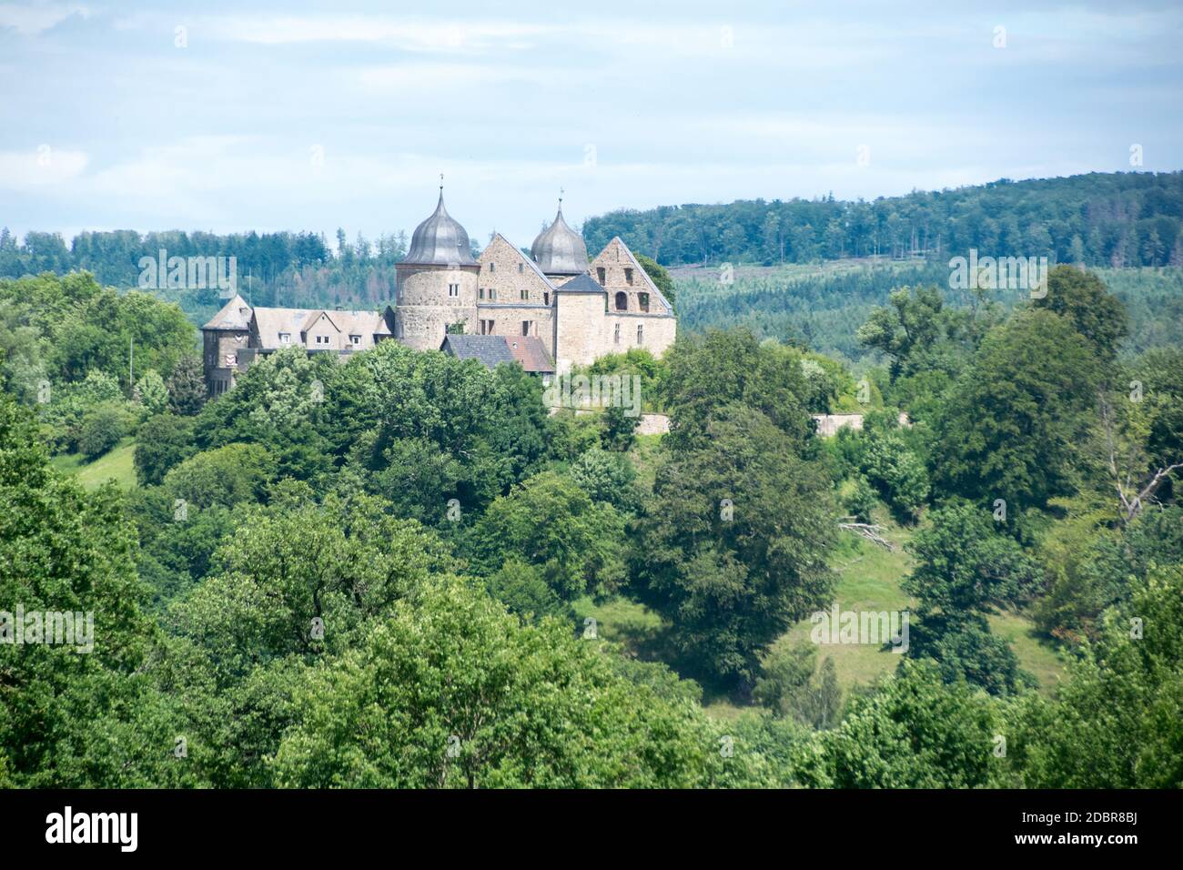 Tierpark sababurg hi-res stock photography and images - Alamy