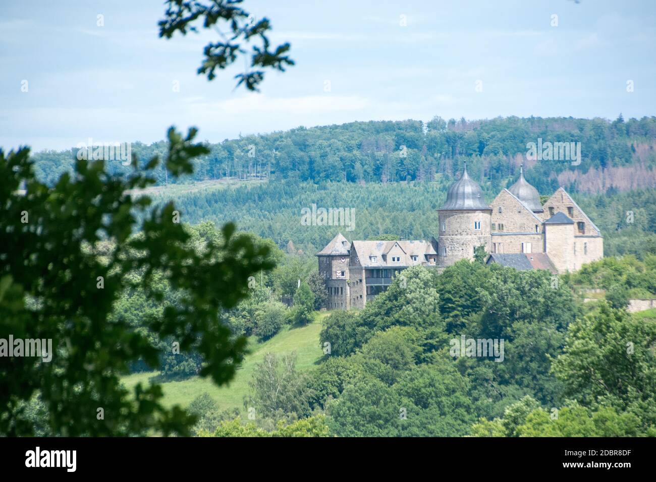 Tierpark sababurg hi-res stock photography and images - Alamy