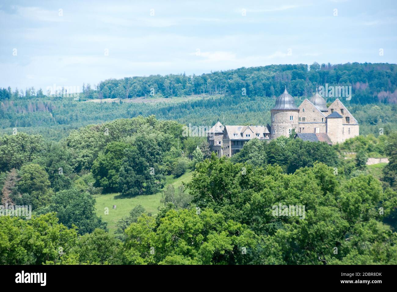 Tierpark sababurg hi-res stock photography and images - Alamy