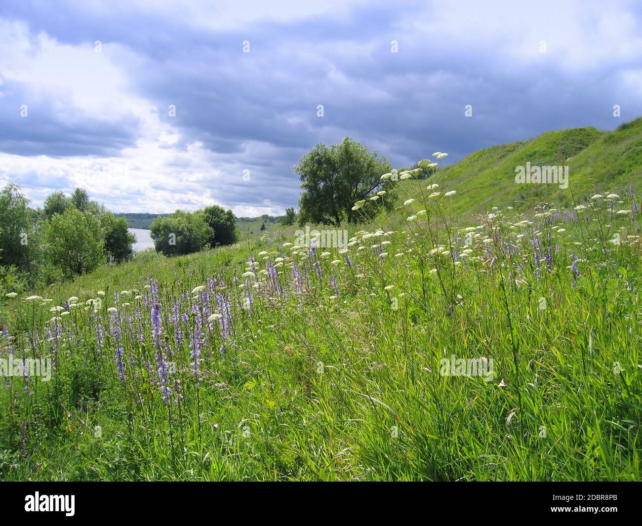 summer riverside landscape Stock Photo - Alamy