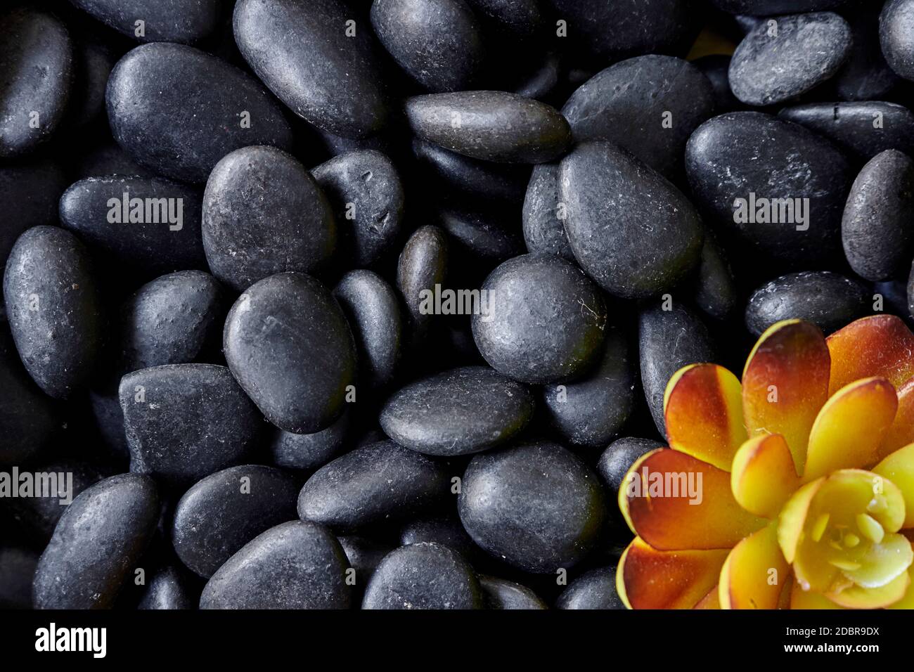 A studio photo of black river rocks Stock Photo - Alamy
