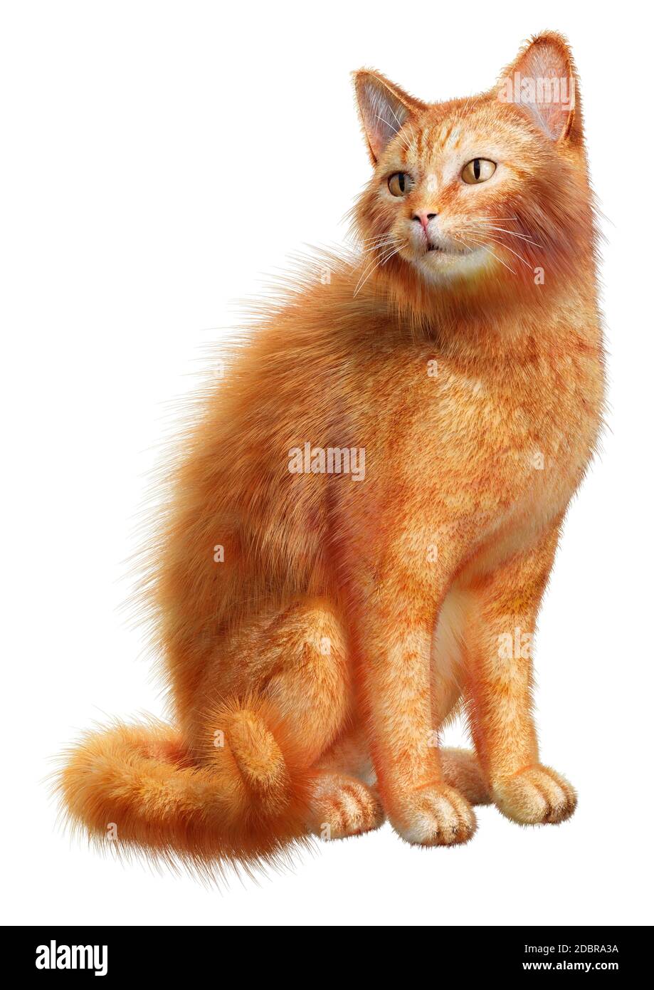 3D rendering of a red cat isolated on white background Stock Photo - Alamy