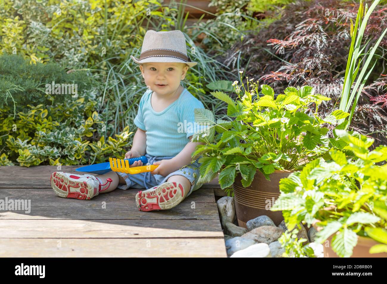 Cute little baby boy is playing with baby rake and scoop sitting in the ...