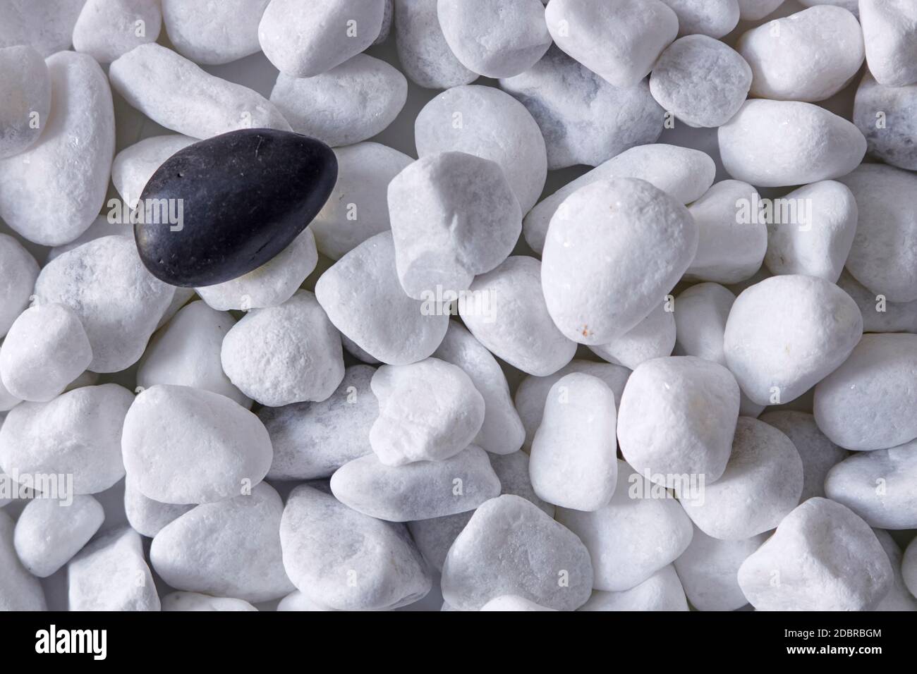 A studio photo of white river rocks Stock Photo - Alamy