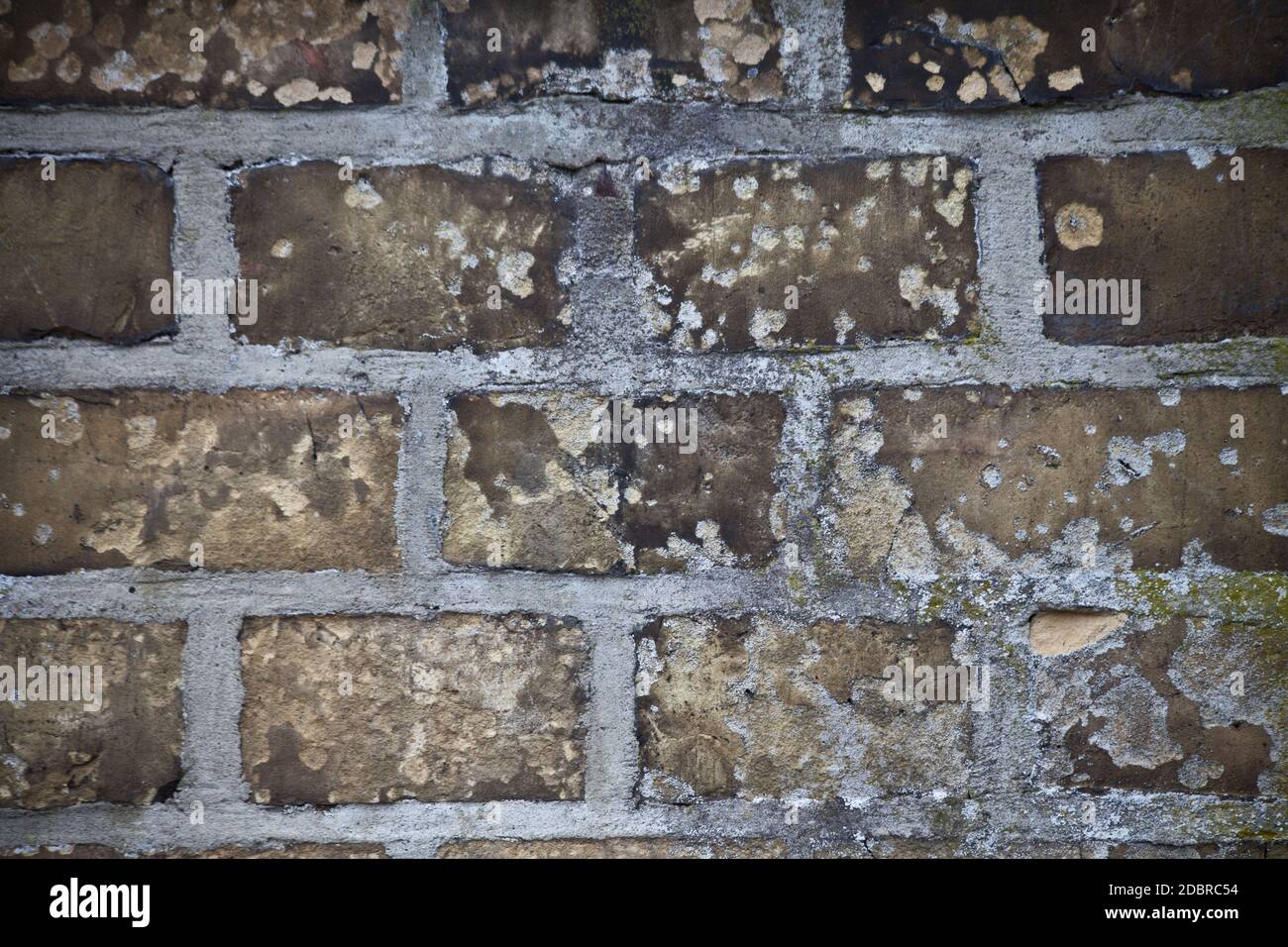 Background image as texture with structure Stock Photo - Alamy