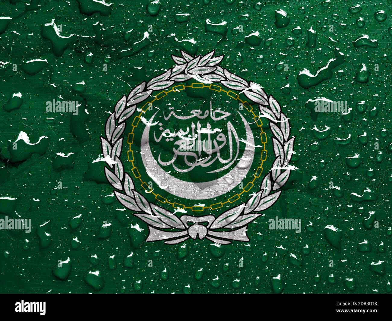 The league of arab states flag hi-res stock photography and images - Alamy