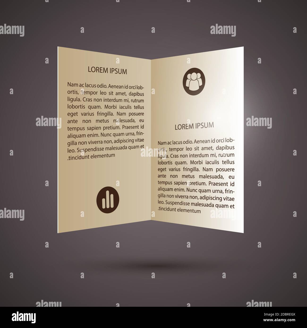 Business abstract paper infographics with folded brochure text and ...