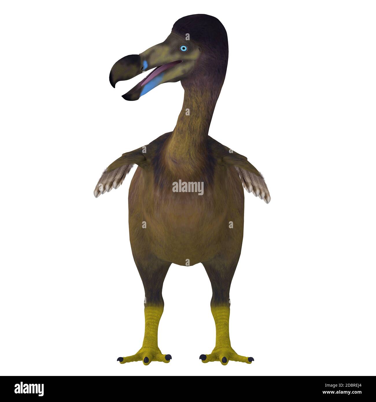 The Dodo is an extinct flightless bird that lived on Mauritius Island ...