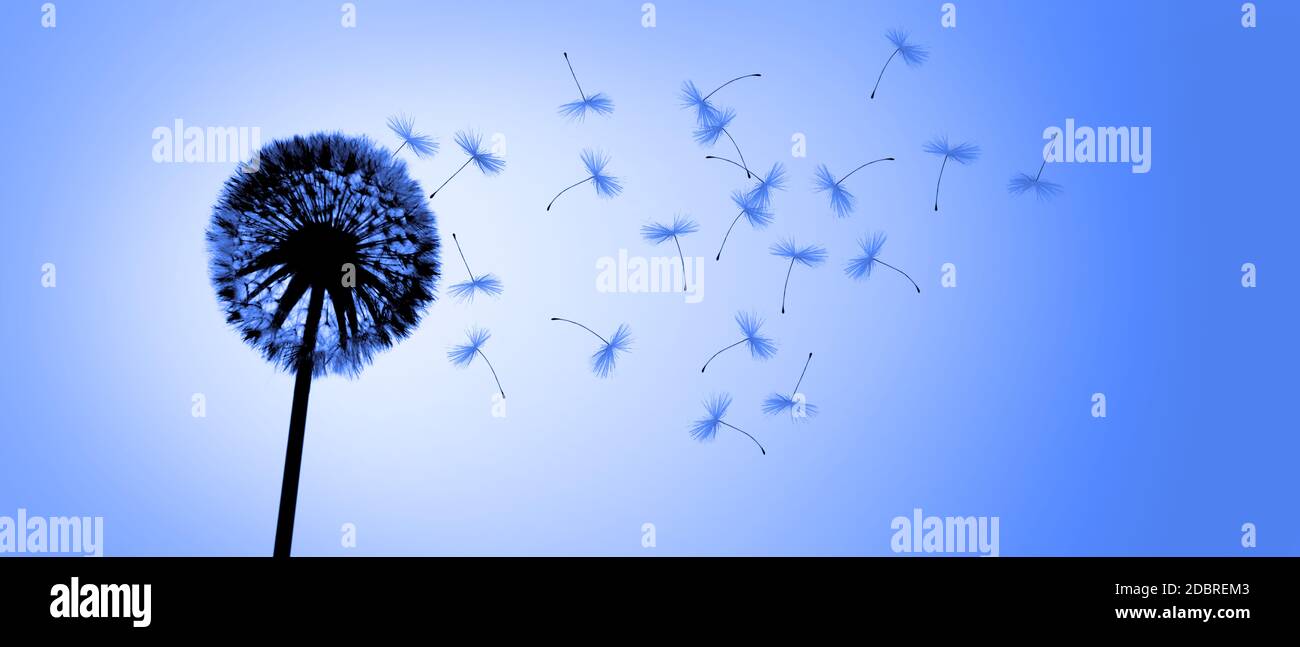 Beautiful dreamy spring nature background with dandelion Stock Photo ...