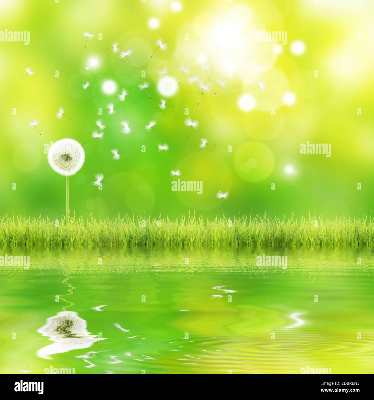 Beautiful dreamy spring nature background with dandelion Stock Photo ...
