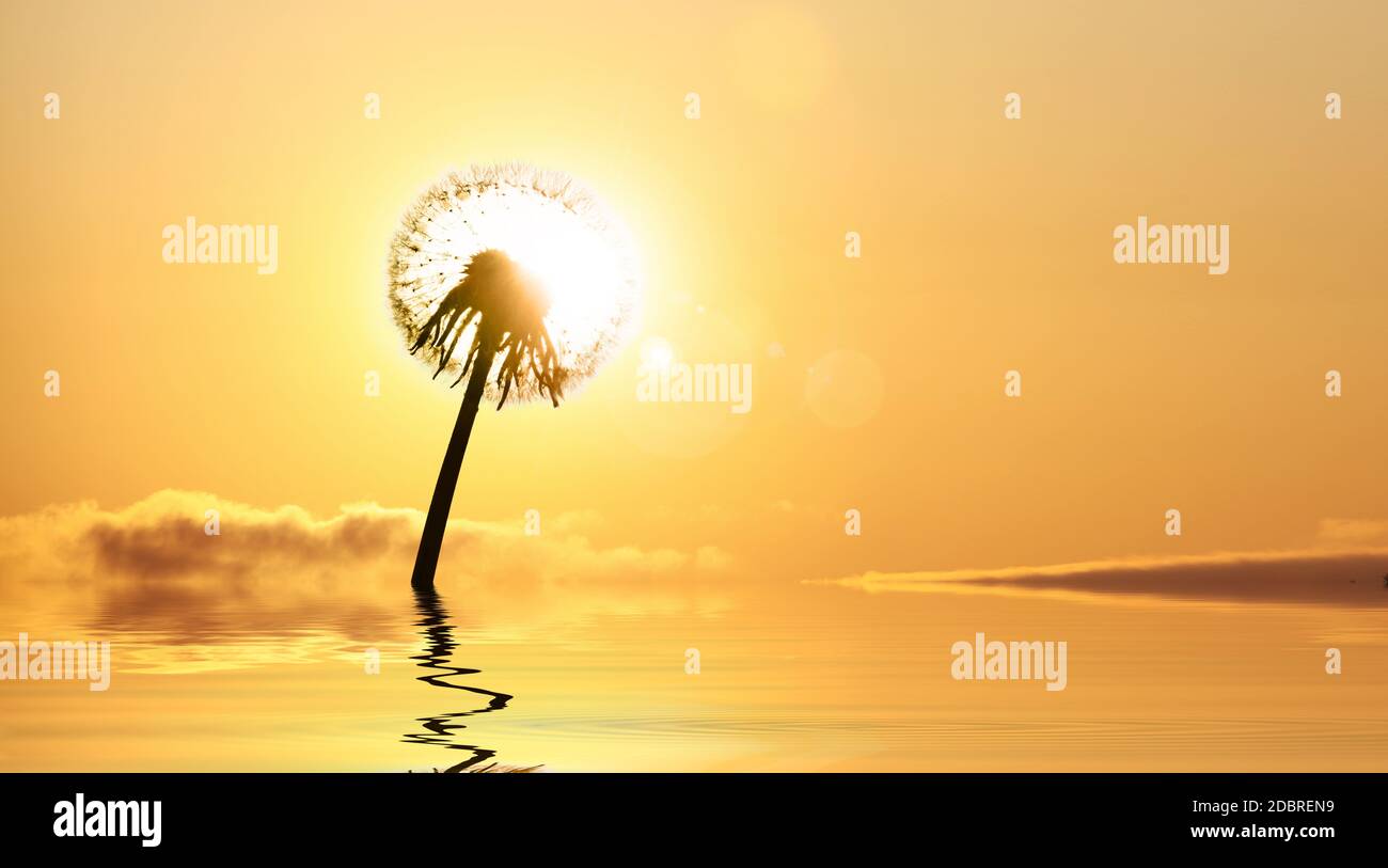 Beautiful dreamy spring nature background with dandelion Stock Photo ...