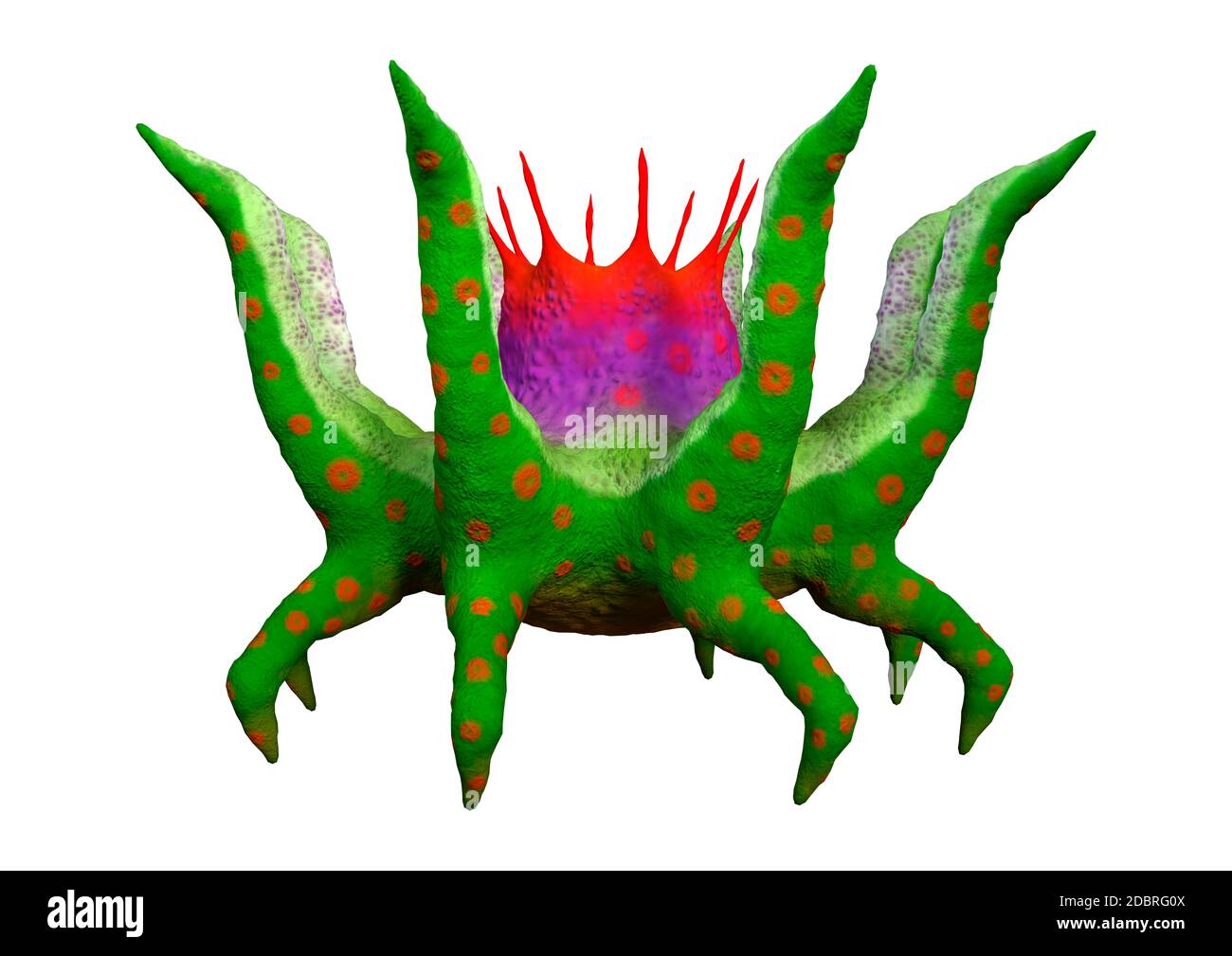 3D rendering of a fantasy alien plant isolated on white background ...