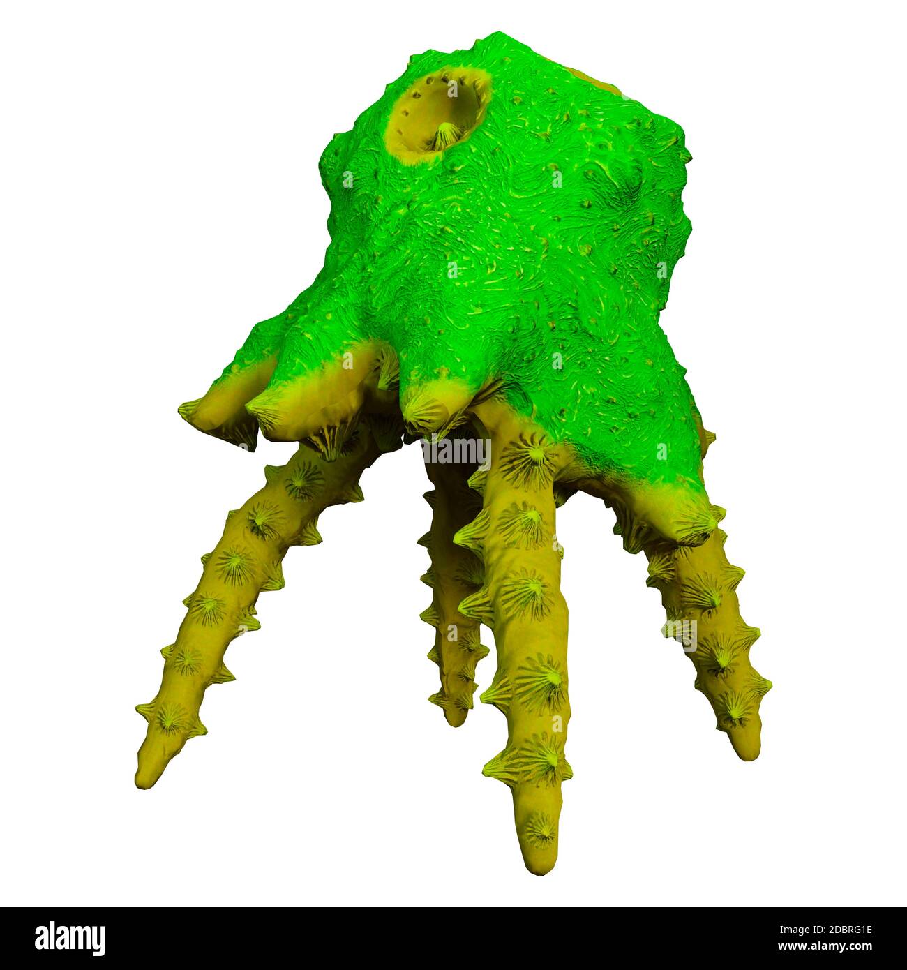 3D rendering of a fantasy alien plant isolated on white background ...